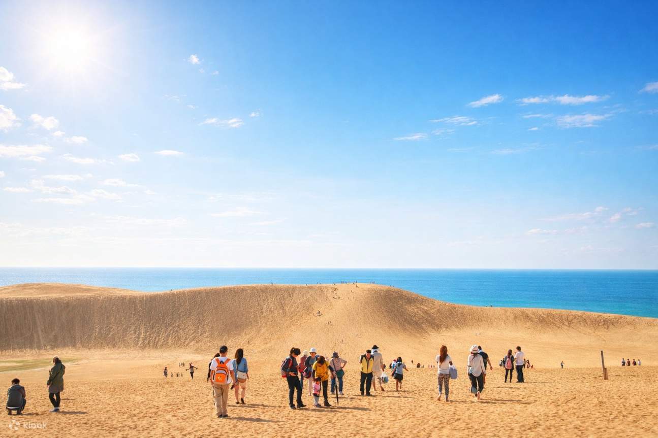 Tottori Sand Dunes & Sand Museum & All-You-Can-Eat Pear Picking ...