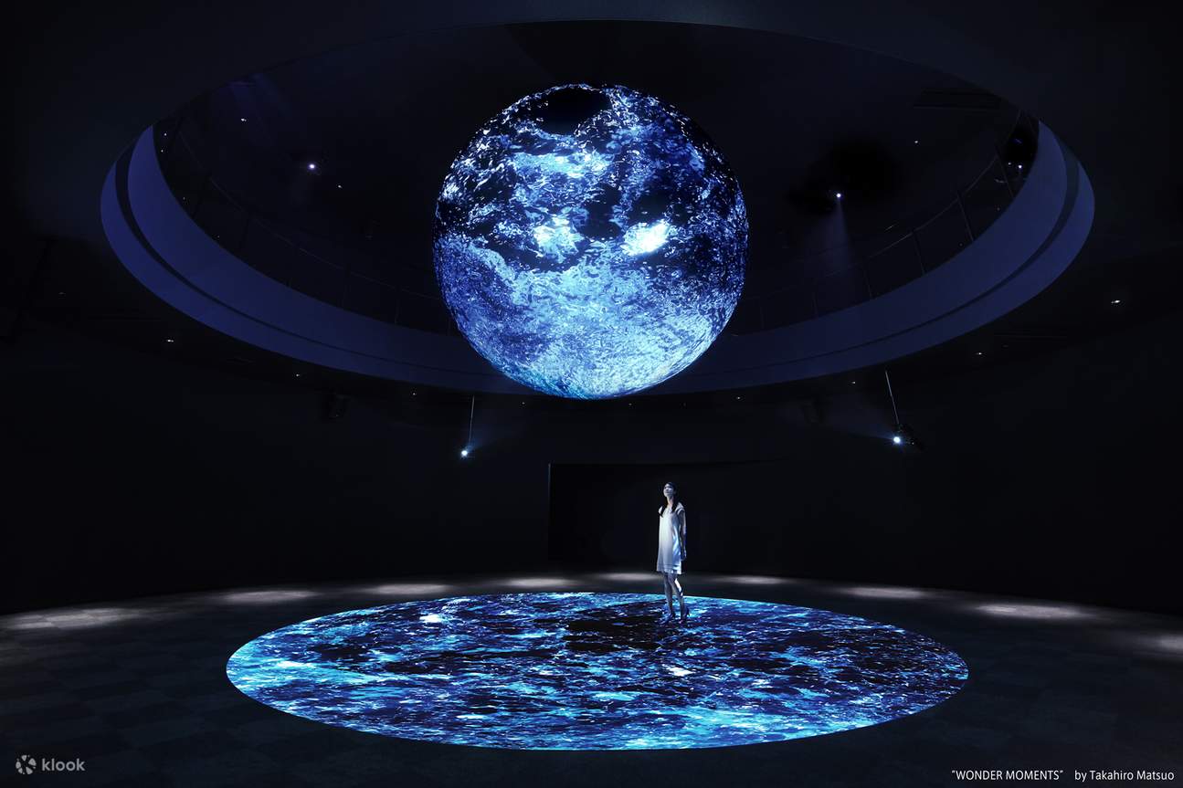 Interact with Majestic Animals in this NIFREL Interactive Aquazoo E ...