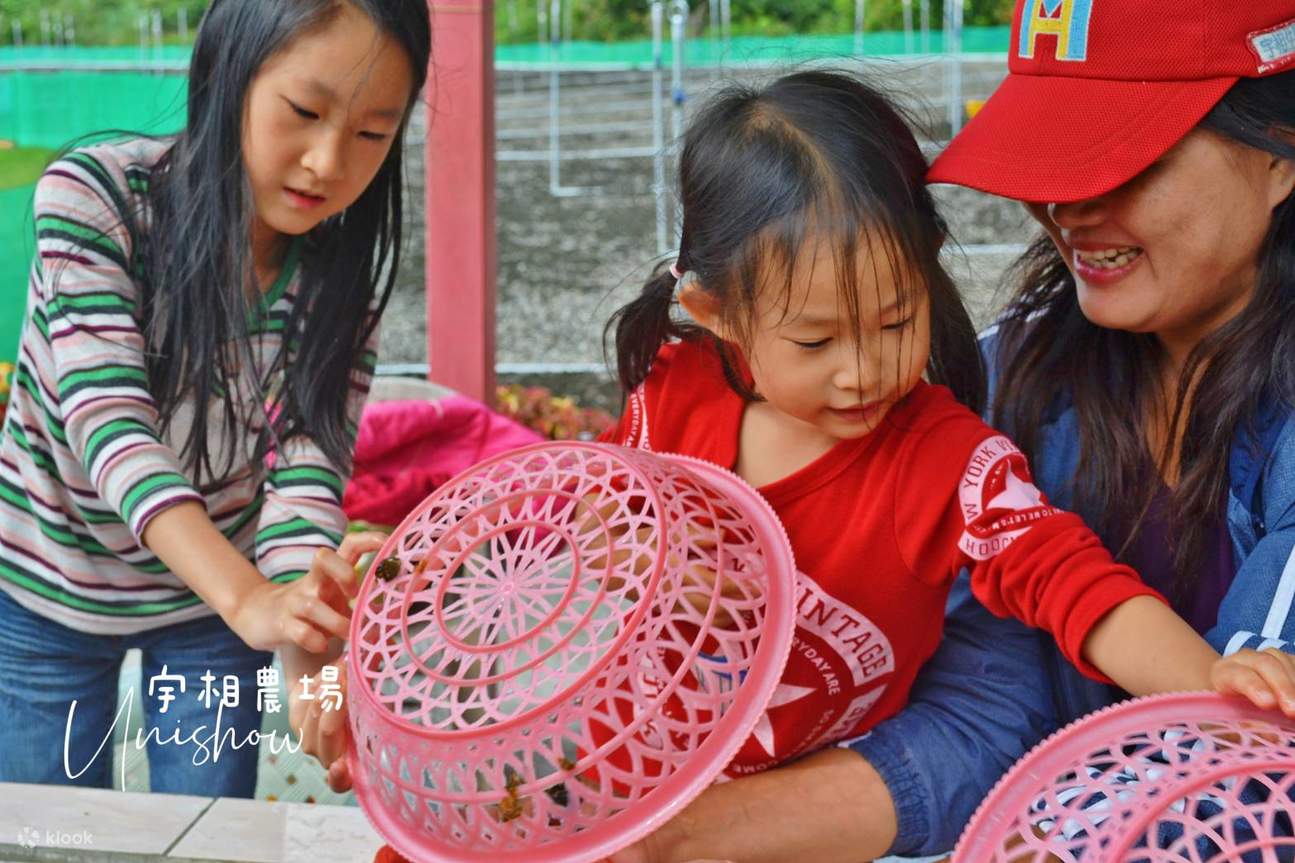 Yulai Mushroom & Algae Harvesting Experience - Klook