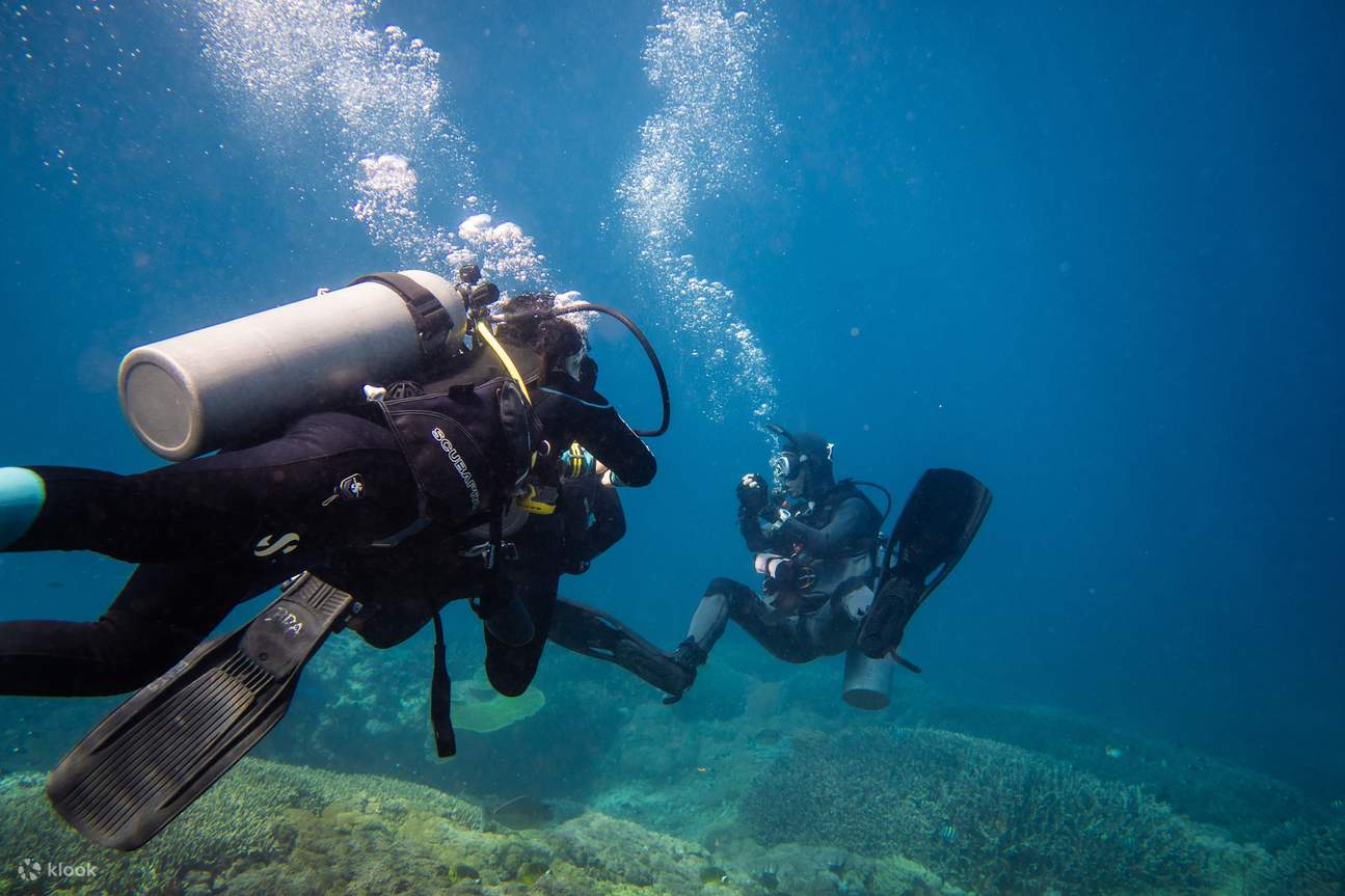 Sewa Perahu Pribadi Untuk Scuba Diving Atau Snorkeling Ke Nusa Penida - Klook Indonesia