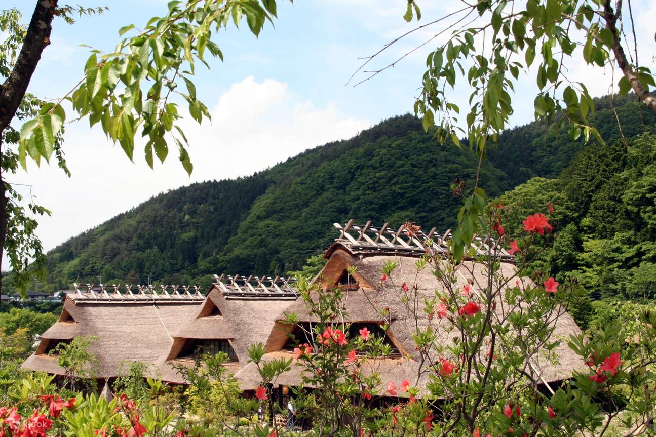 Mount Fuji and Lake Kawaguchiko Day Trip from Japan: Arakurayama Sengen ...