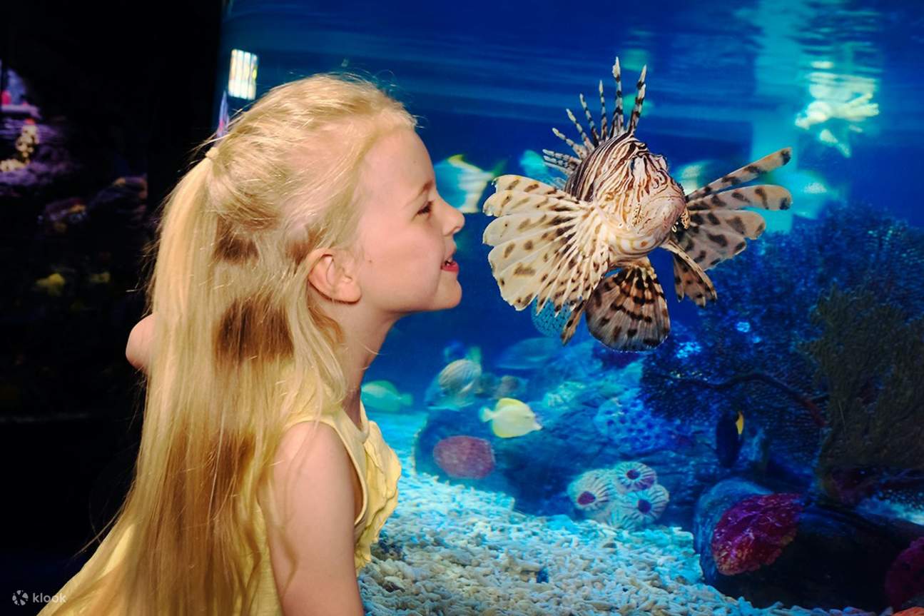 SEA LIFE Scheveningen in Netherlands - Klook