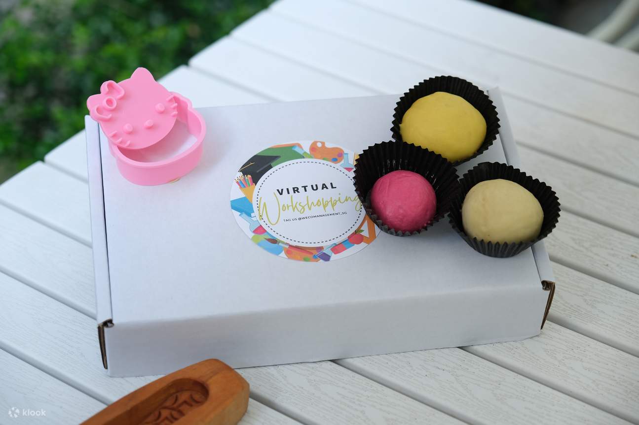 Singapore Creative Snow Skin Vegetarian Friendly Mooncake Virtual DIY ...