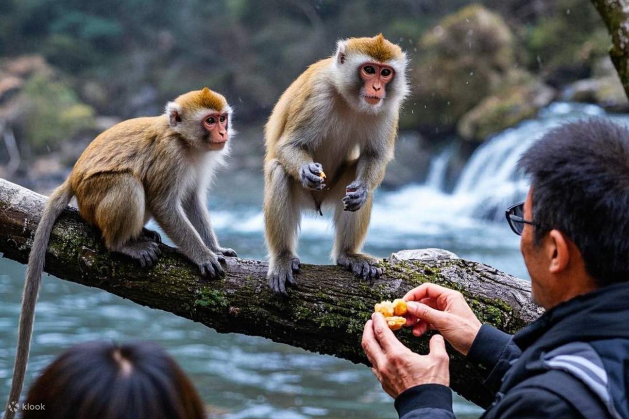 Hunan Zhangjiajie high-end pure play quality 4-day tour (Glass Bridge ...