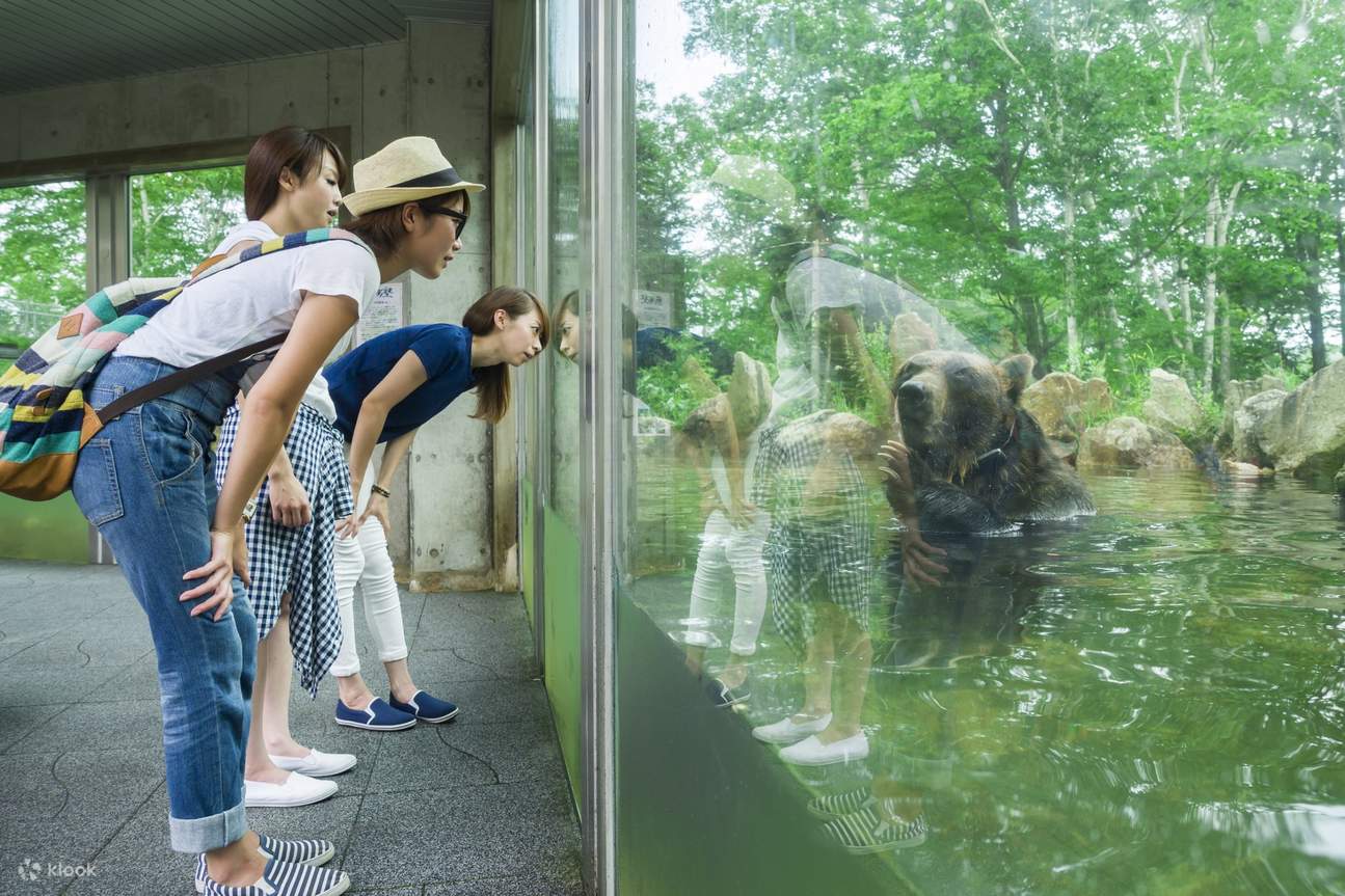 Tur Furano Flower Land & Sahoro Bear Mountain dari Sapporo - Klook ...