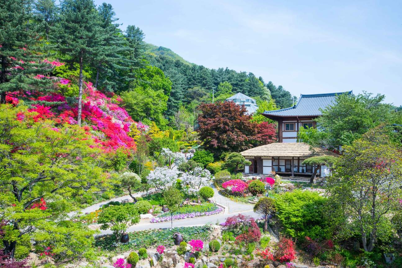 NAMI ISLAND & LOTTE WORLD TOUR - Klook