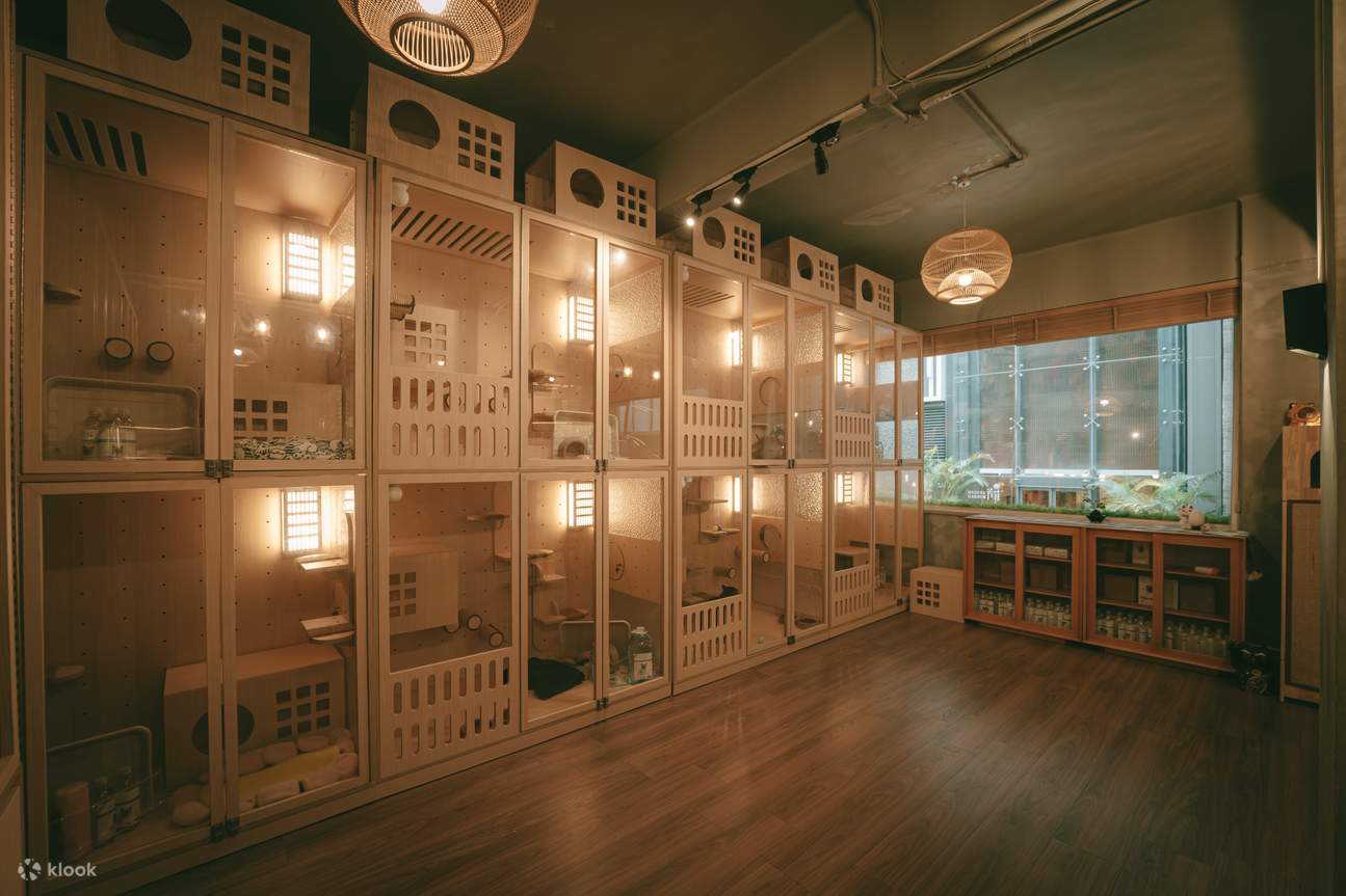 Mau Planet X Mau BnB Cat Hotel in Hong Kong - Klook Malaysia