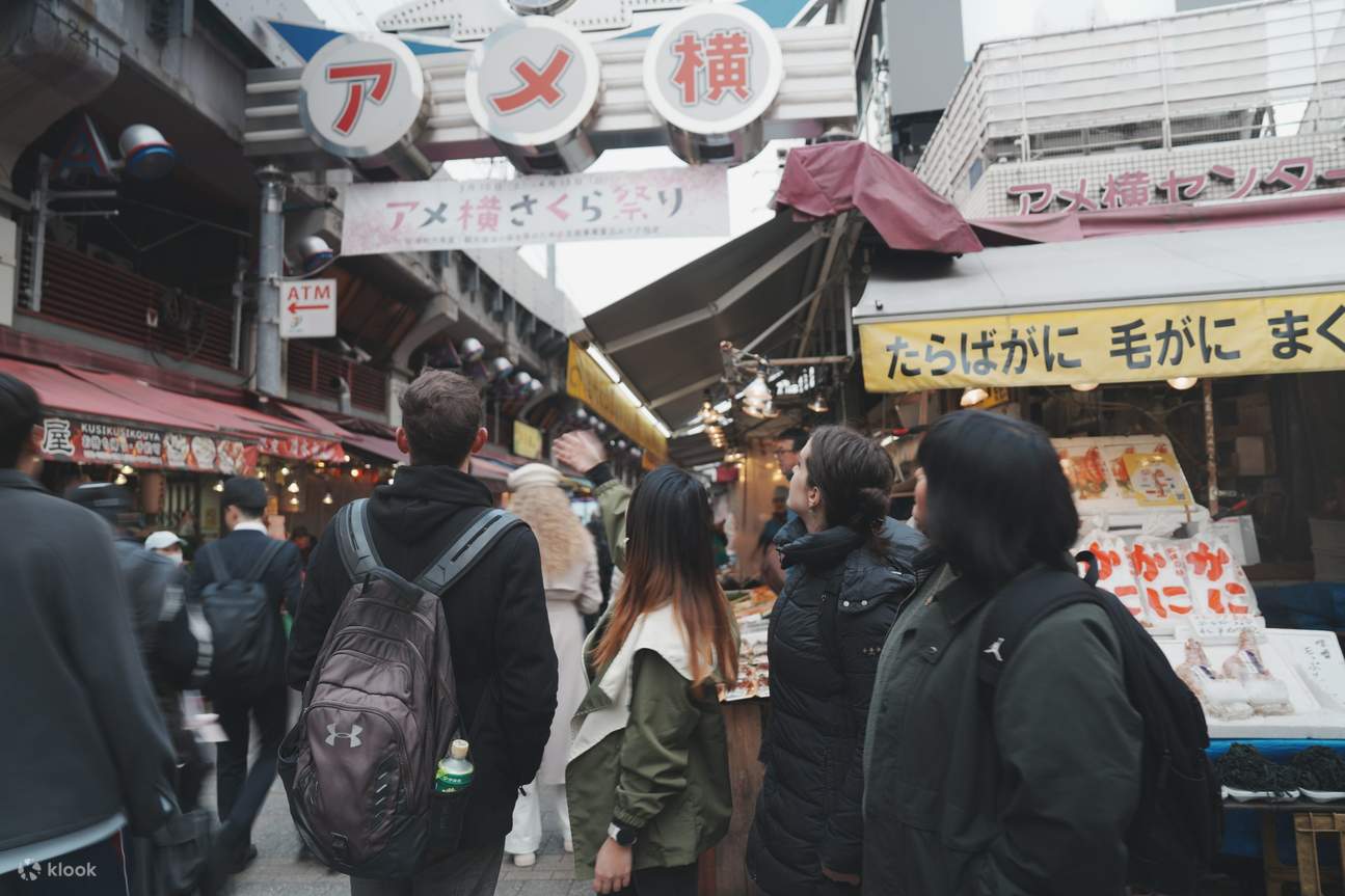 Ultimate One-day Tokyo Must-sees Tour with Photographer - Klook