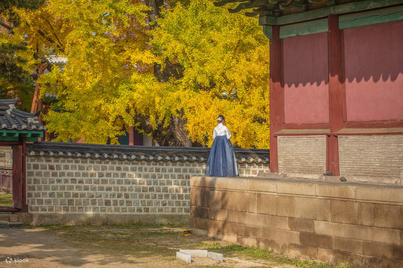 Memorable Autumn Foliage Day Tour from Busan - Klook Malaysia