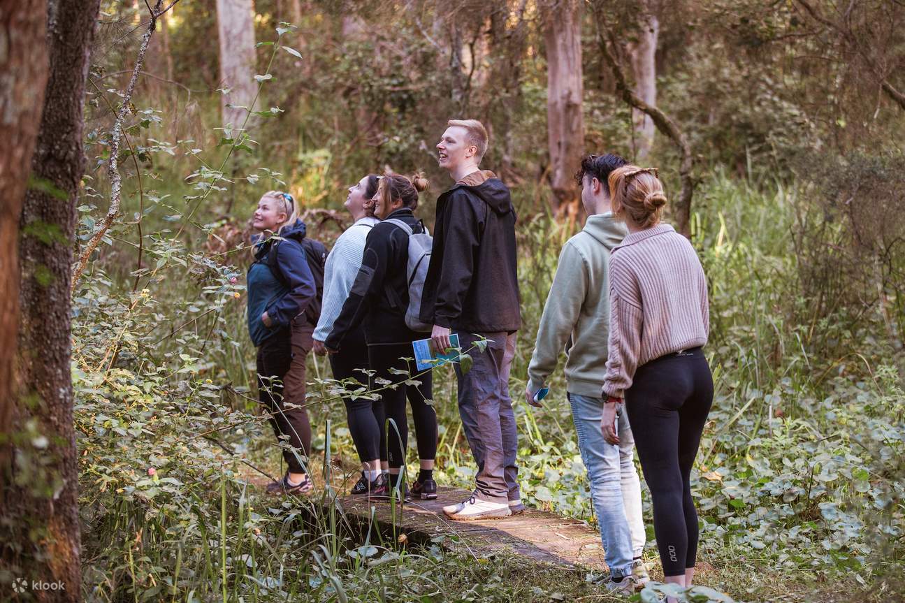 Lake Macquarie, Nature and Wildlife 4-Hour Tour - Klook