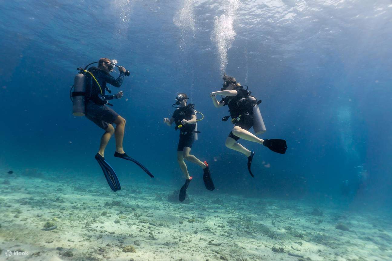 Pengalaman Scuba Diving untuk Pemula & Makan Siang - Sharm El Sheikh ...