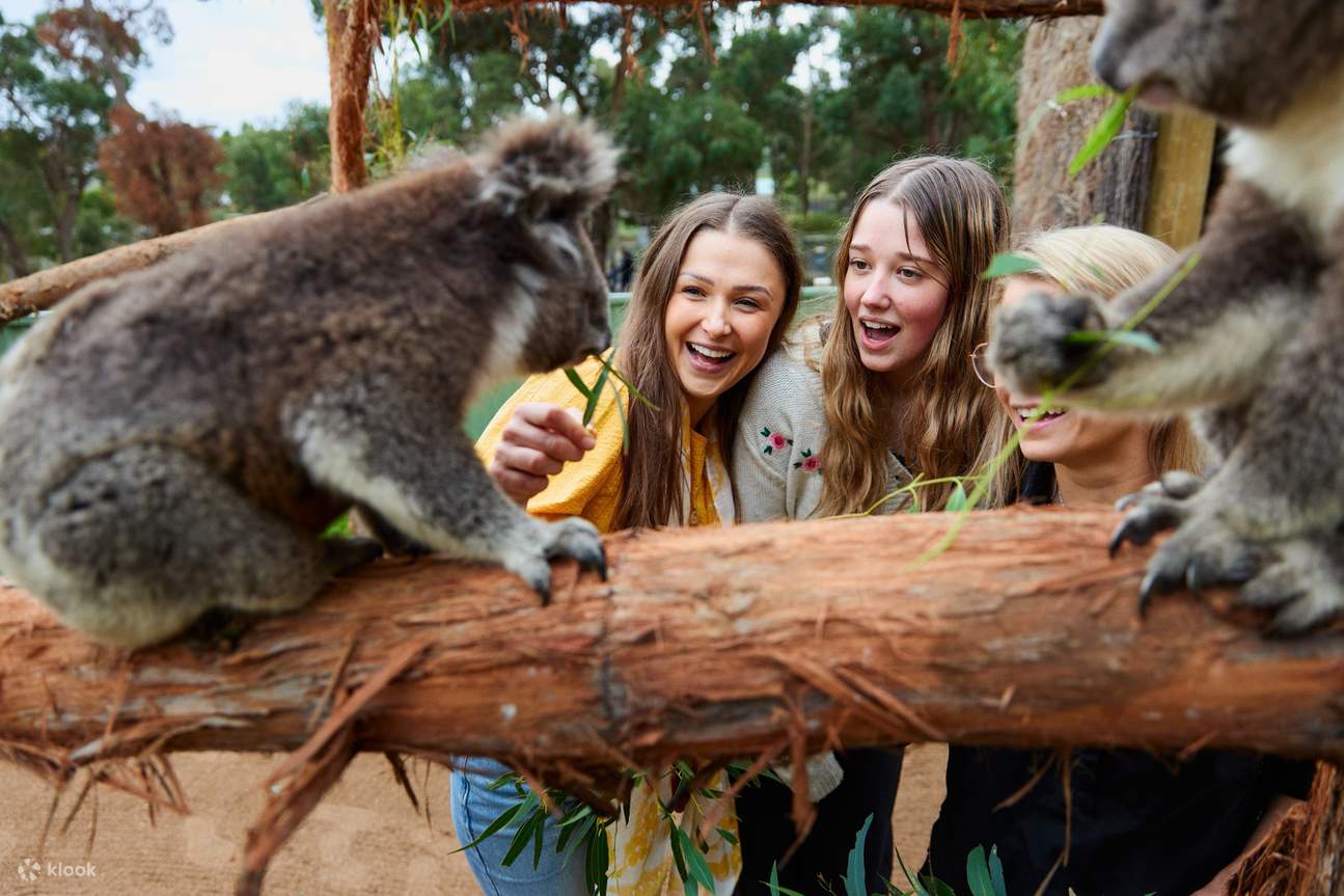 Gold City and Wildlife: A Ballarat & Sovereign Hill Day Tour - Klook ...