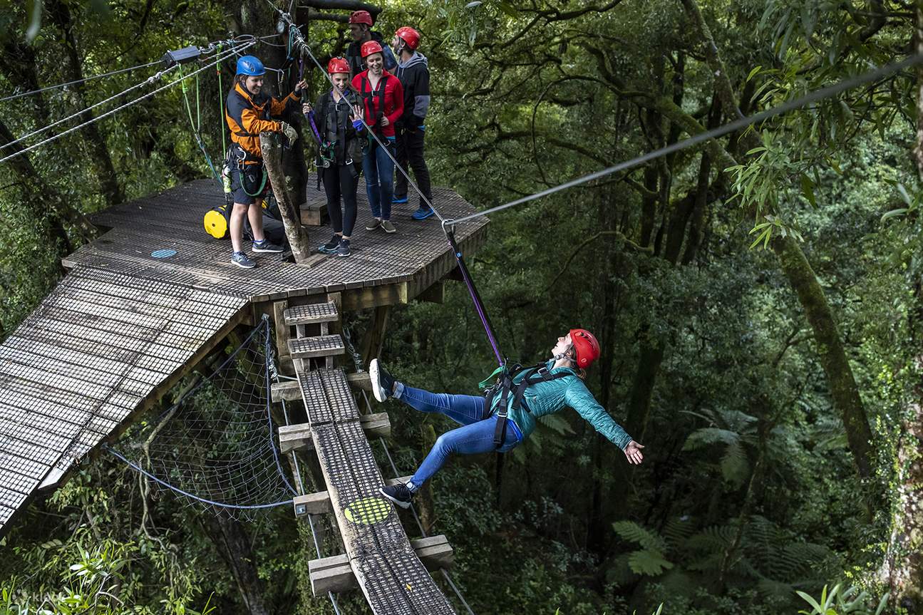 Canopy Tour Zipline Forest Adventure a Rotorua - Klook Stati Uniti