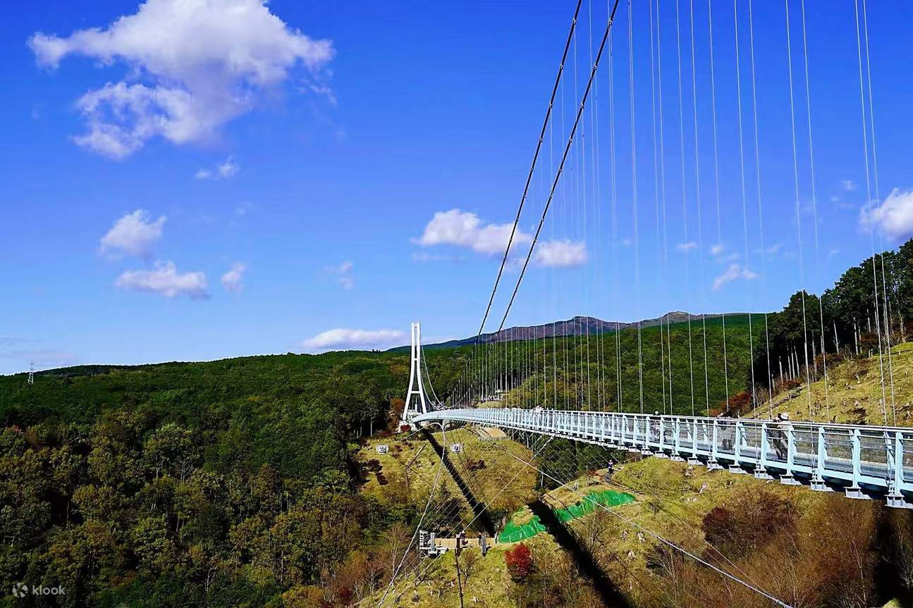 [Cherry Blossom Season Only] Mishima Skywalk & Iwamotoyama Park | Mt ...