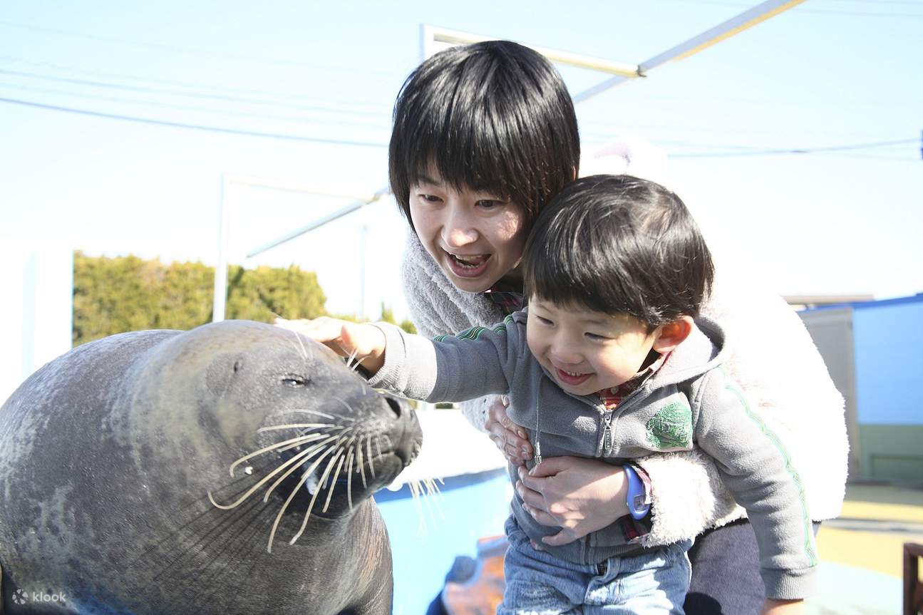 Minamichita Beach Land Admission in Aichi - Klook