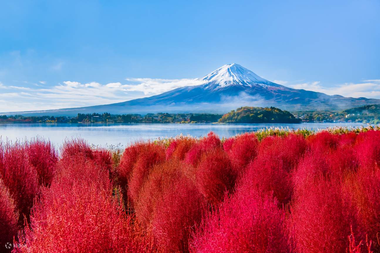 Mt. Fuji Day Tour: Arakurayama Sengen Park, Oshino Hakkai, and the ...