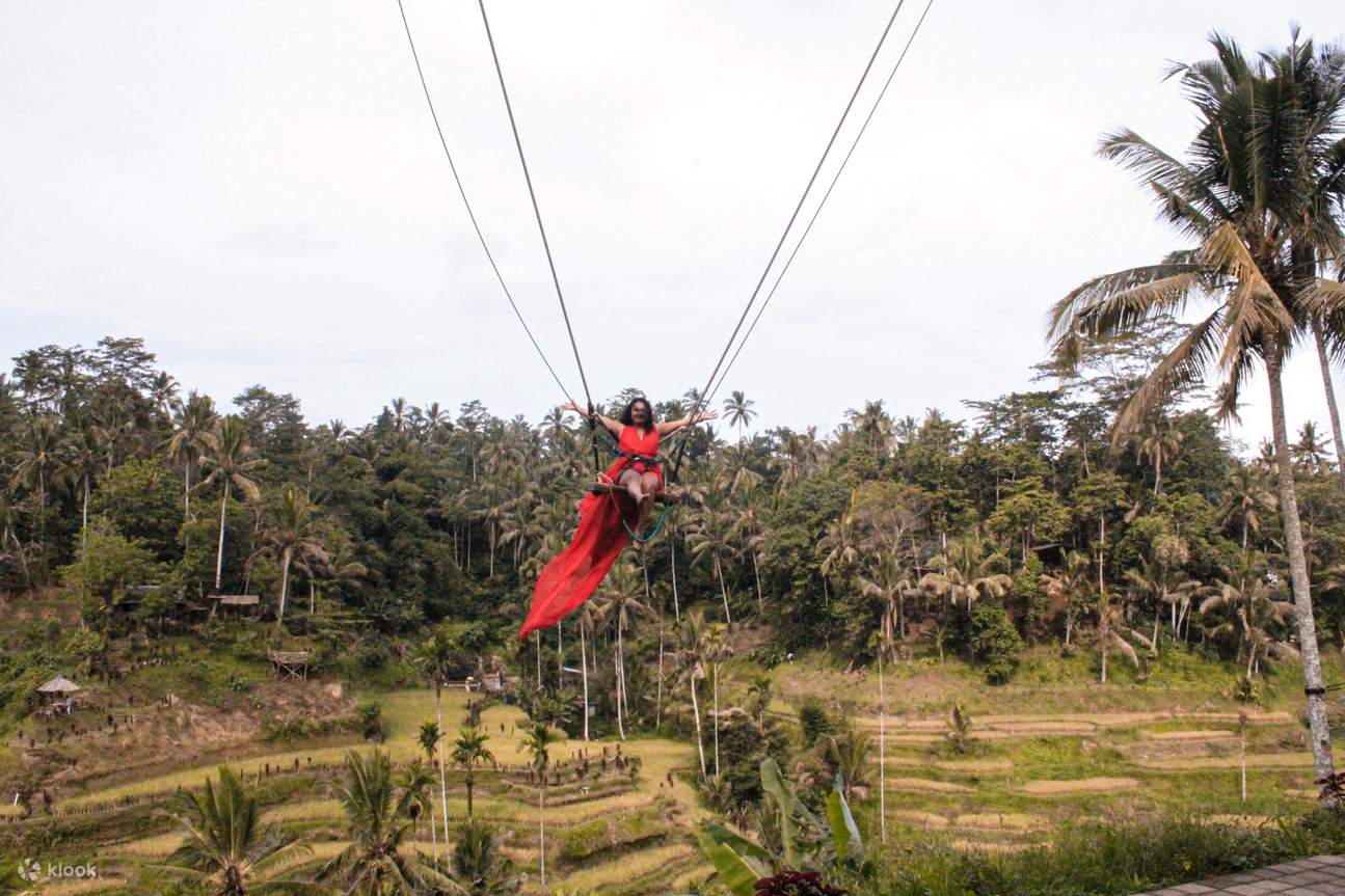 Desa Pinggan, Montana Del Cafe, Tegalalang, Tirta Empul Tour dari Bali ...