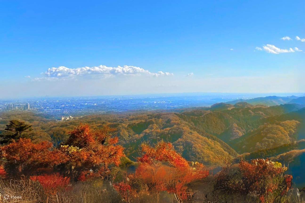Tokyo City, Mt. Takao One Day Hiking Tour with Autumn Leaves Viewing - Klook