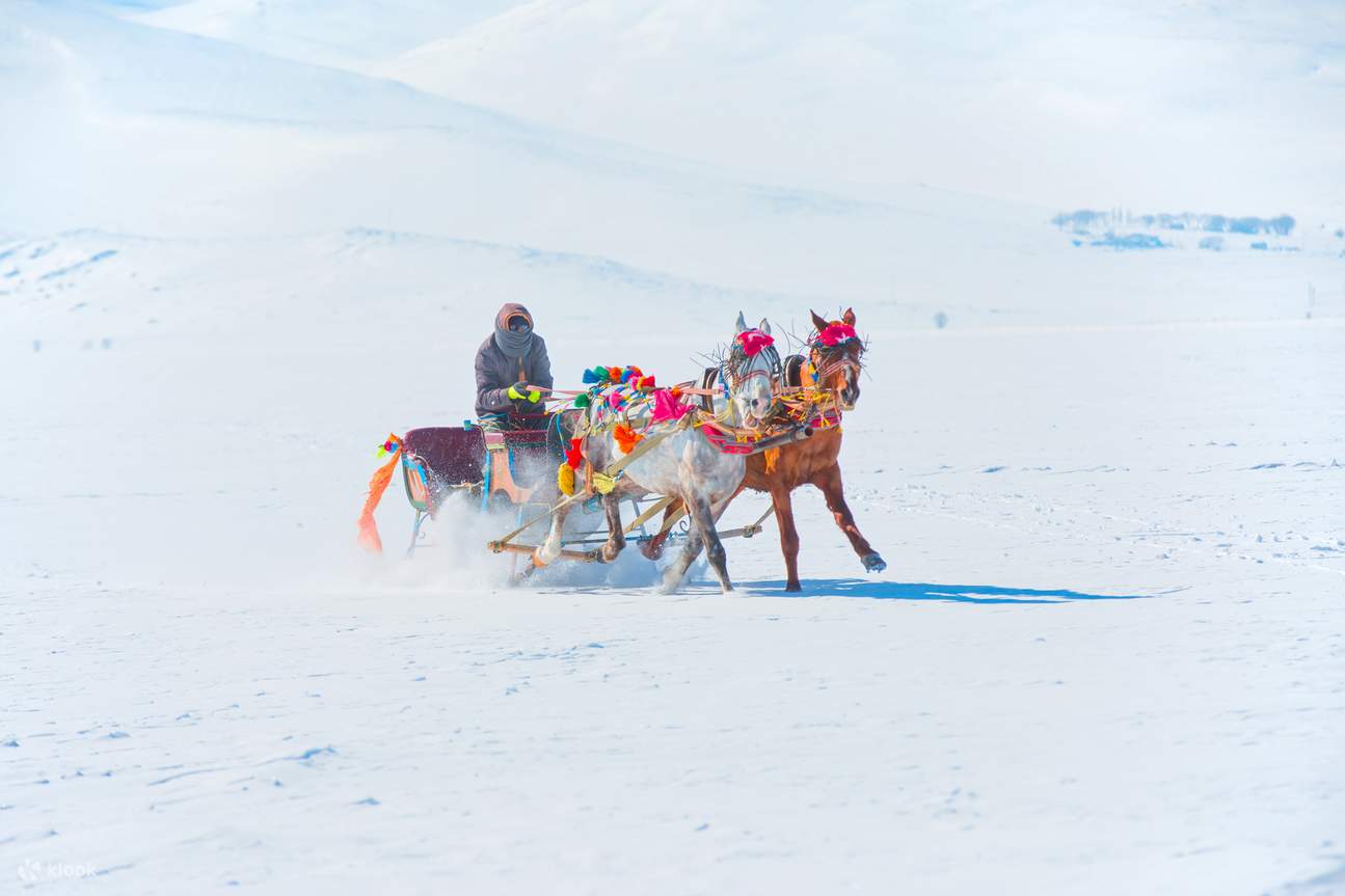 3-Day Winter Tour to Northeast China's Harbin Snow Town (Ice and Snow ...