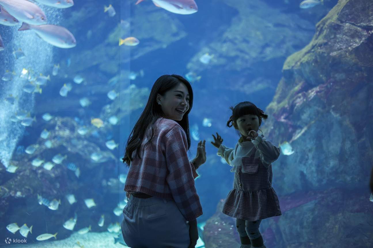 ตั๋ว Xpark ในเถาหยวน - Klook ประเทศไทย