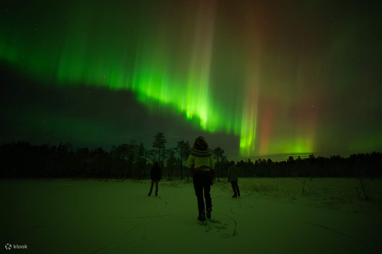 Ranua Lupland Aurora Activity Park – After Dark Adventure - Klook ...