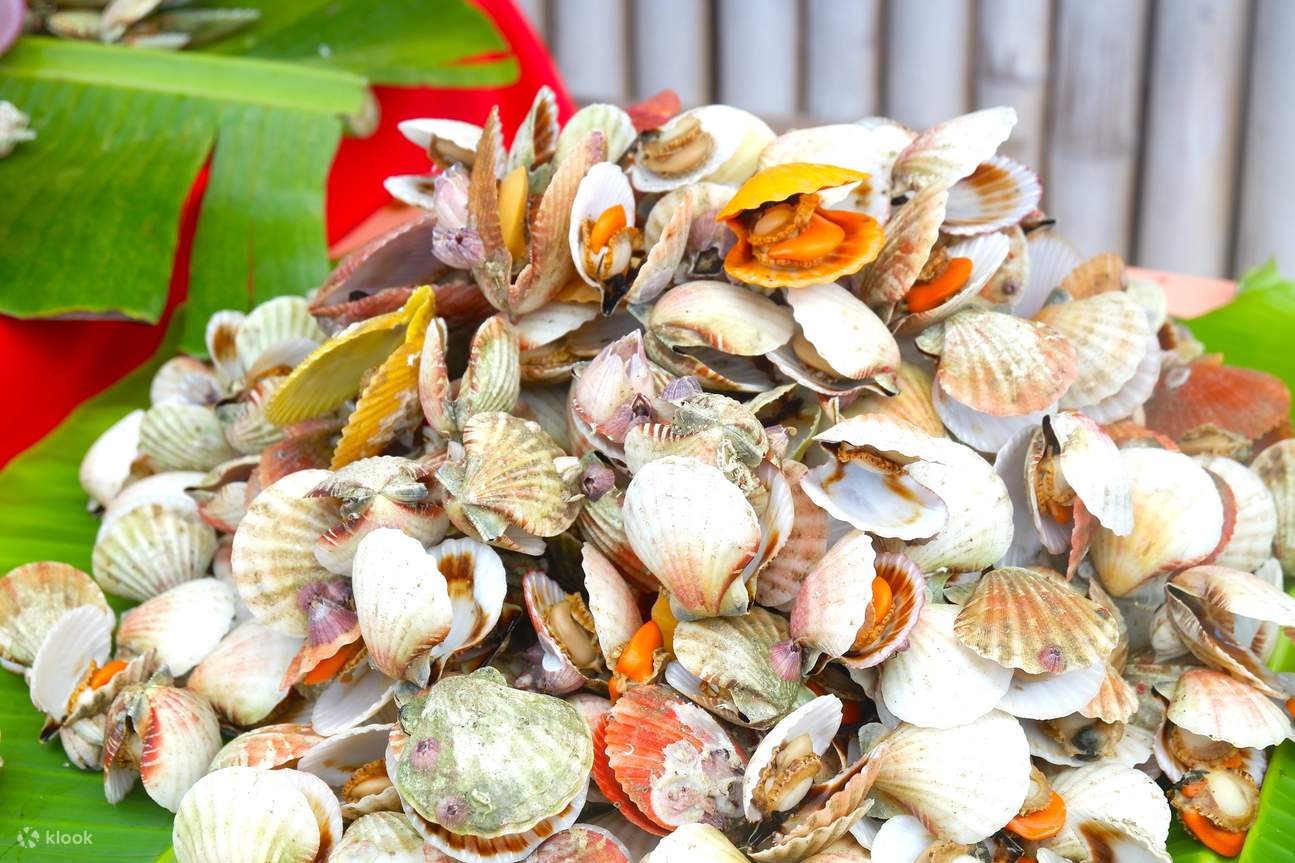 Gigantes Islands Private Eco-Tour from Iloilo - Klook Philippines