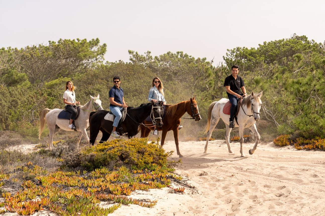 Horseback Riding Experience In Comporta And Setubal City Tour in from ...