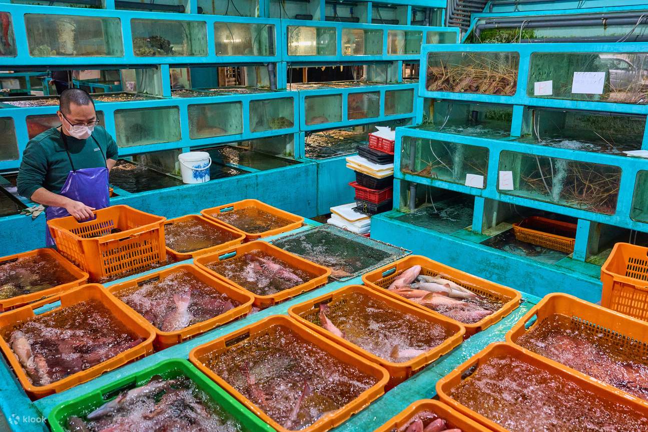 From Sea to Table: Aberdeen Wholesale Fish | Fresh Seafood Market ...