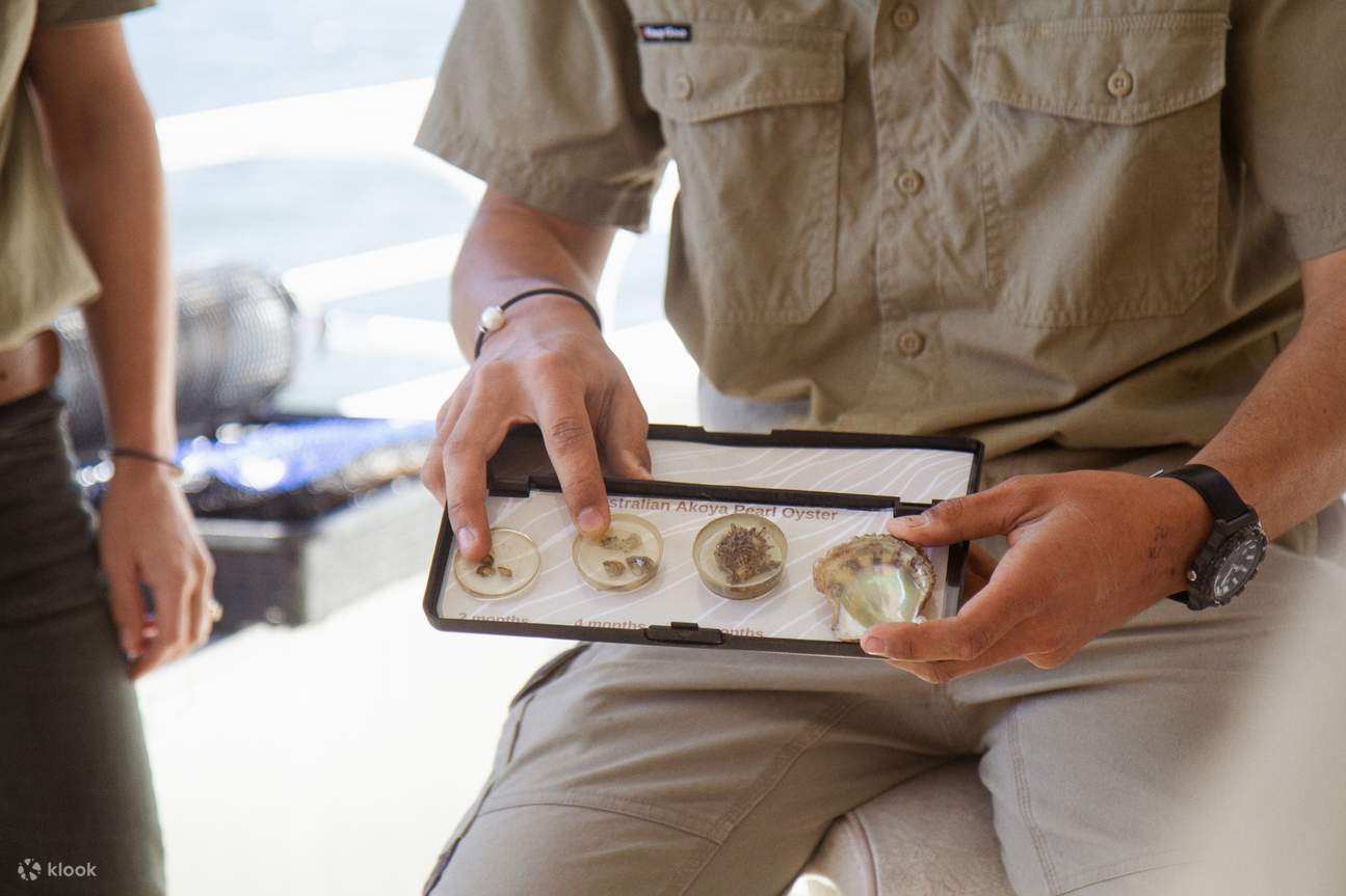 Complete Immersion of Oyster Cruise and Pearl Grading - Klook