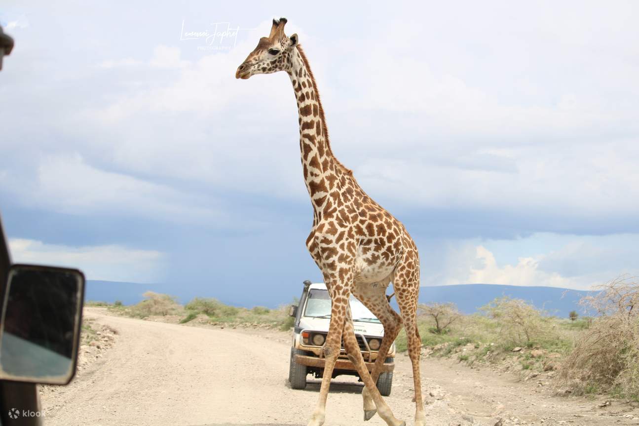3 Days 2 Nights Maasai Mara Small Group Safari - Explore the Wild - Klook