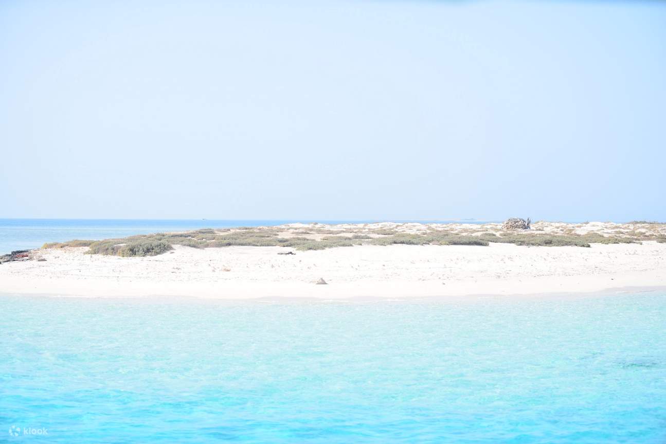 Marsa Mubarak Snorkeling Trip With Transfer & Lunch – Marsa Alam ...