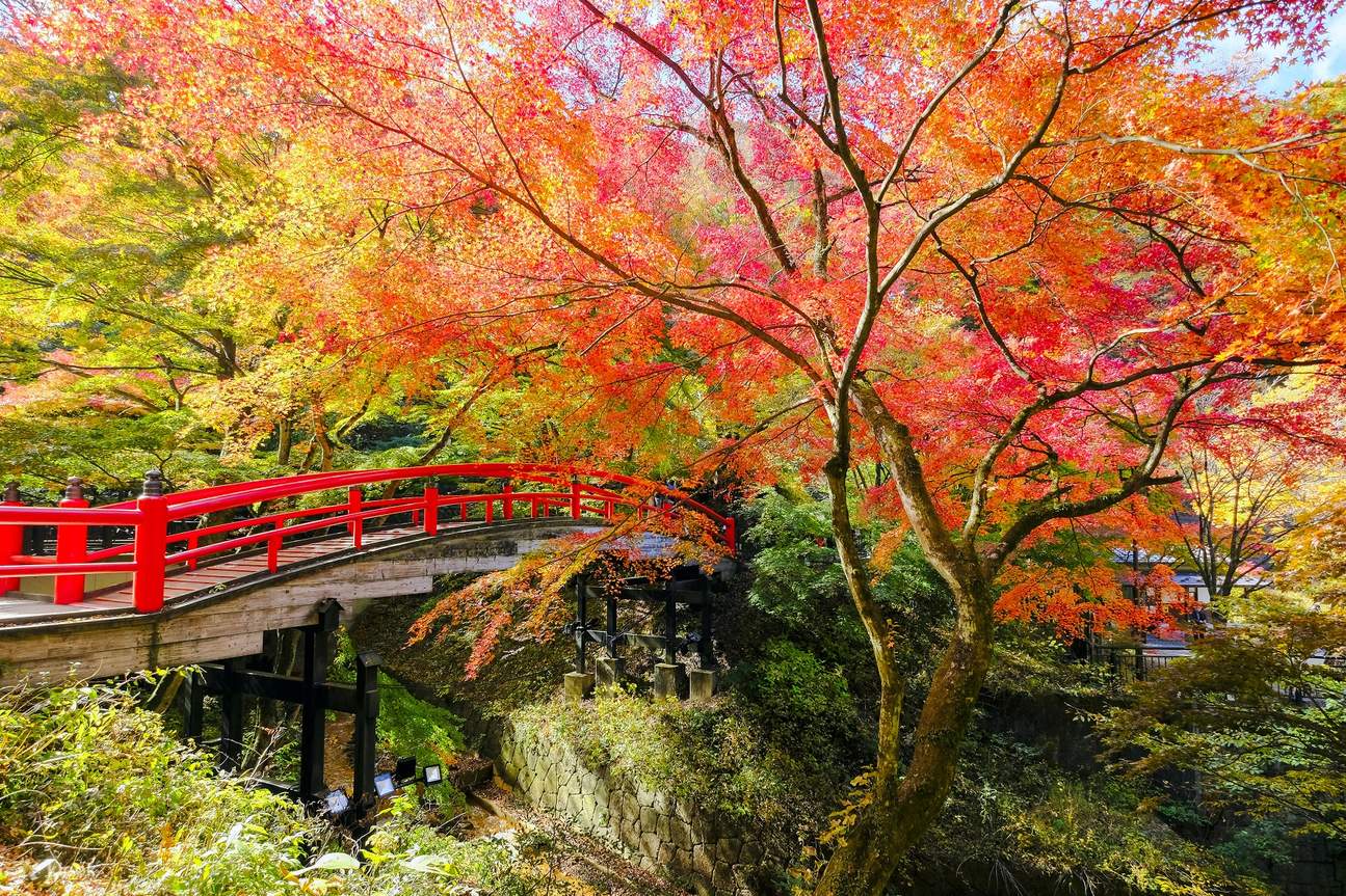 One-day maple viewing tour in Gunma: Hotokuji Temple & Takatsuto Gorge ...