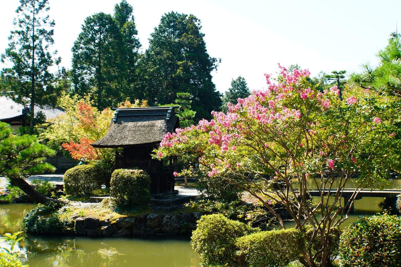 Eihō-ji, Ena-Tal, Magome-juku und Tsumago-juku Tagestour ab Nagoya - Klook, Vereinigte Staaten