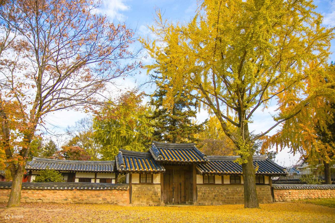 Jeonju Hanok Village & Seasonal Popular Attractions Day Tour - Klook ...