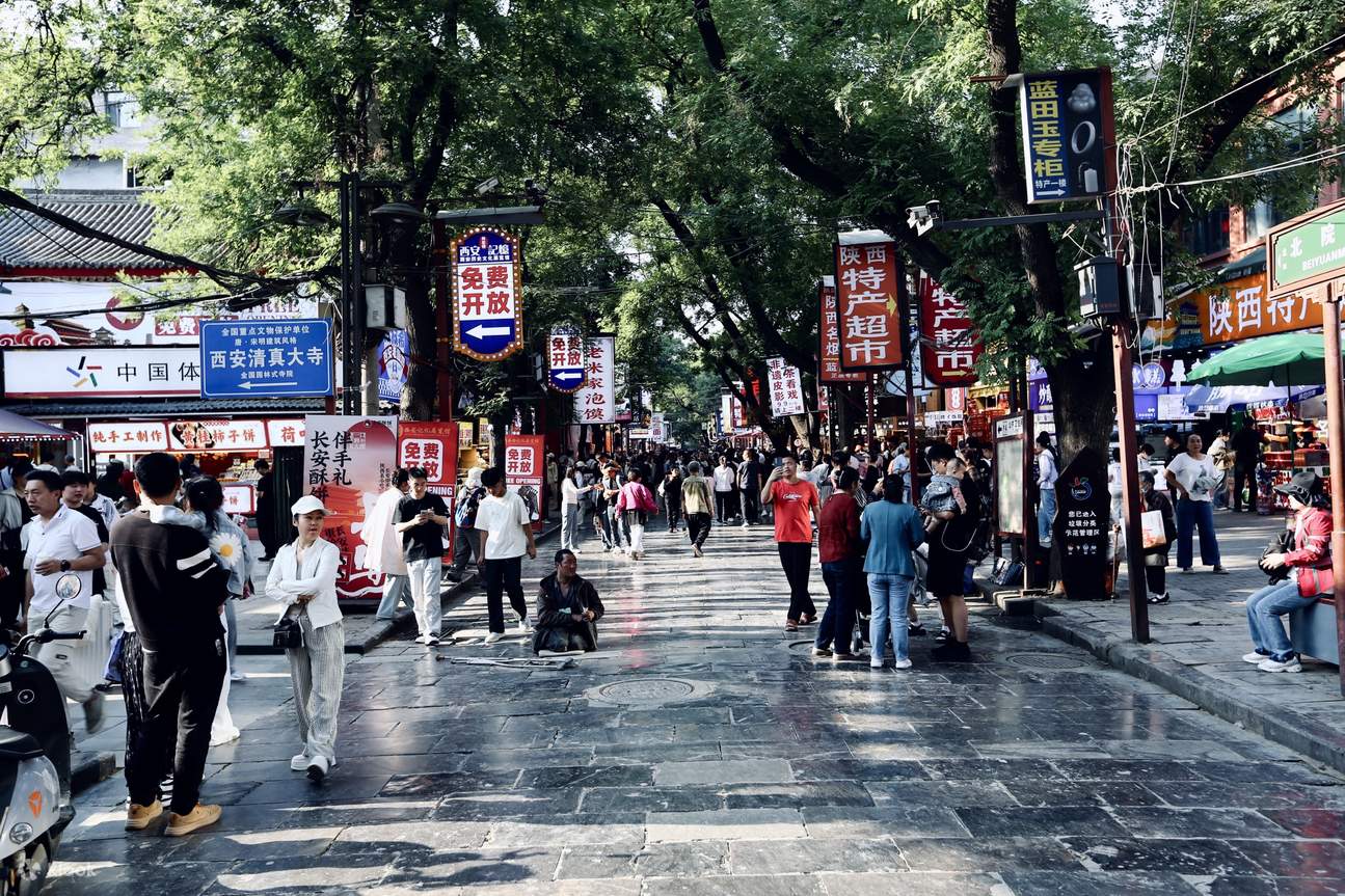 Xi'an Terracotta Army 1-Day Tour (Chinese & English Commentary ...