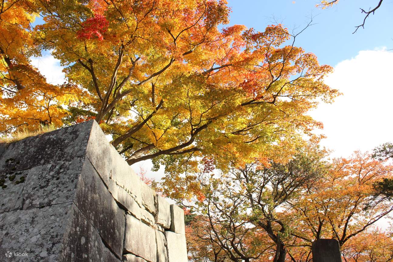 Morioka City Half Day Walking Tour with Lunch/dinner - Klook India