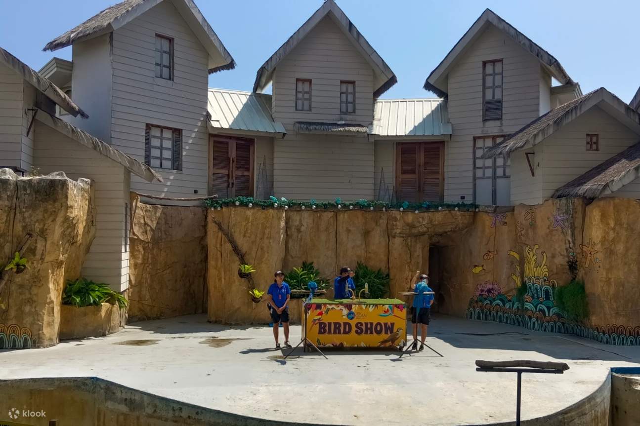 Anjo World Theme Park and Cebu Ocean Park Day Tour - Klook India