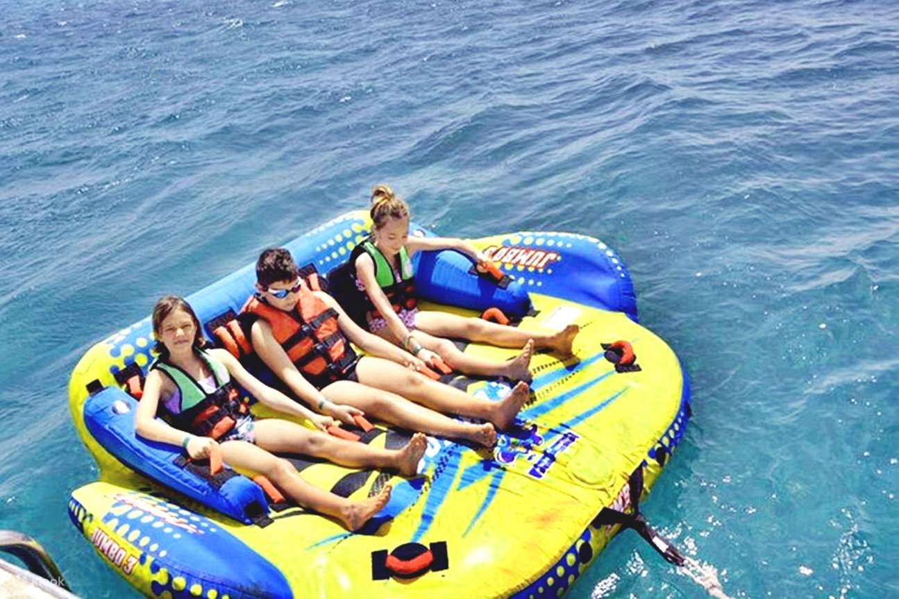 Discover the Majestic Dolphins of the Red Sea: Hurghada Dolphin ...