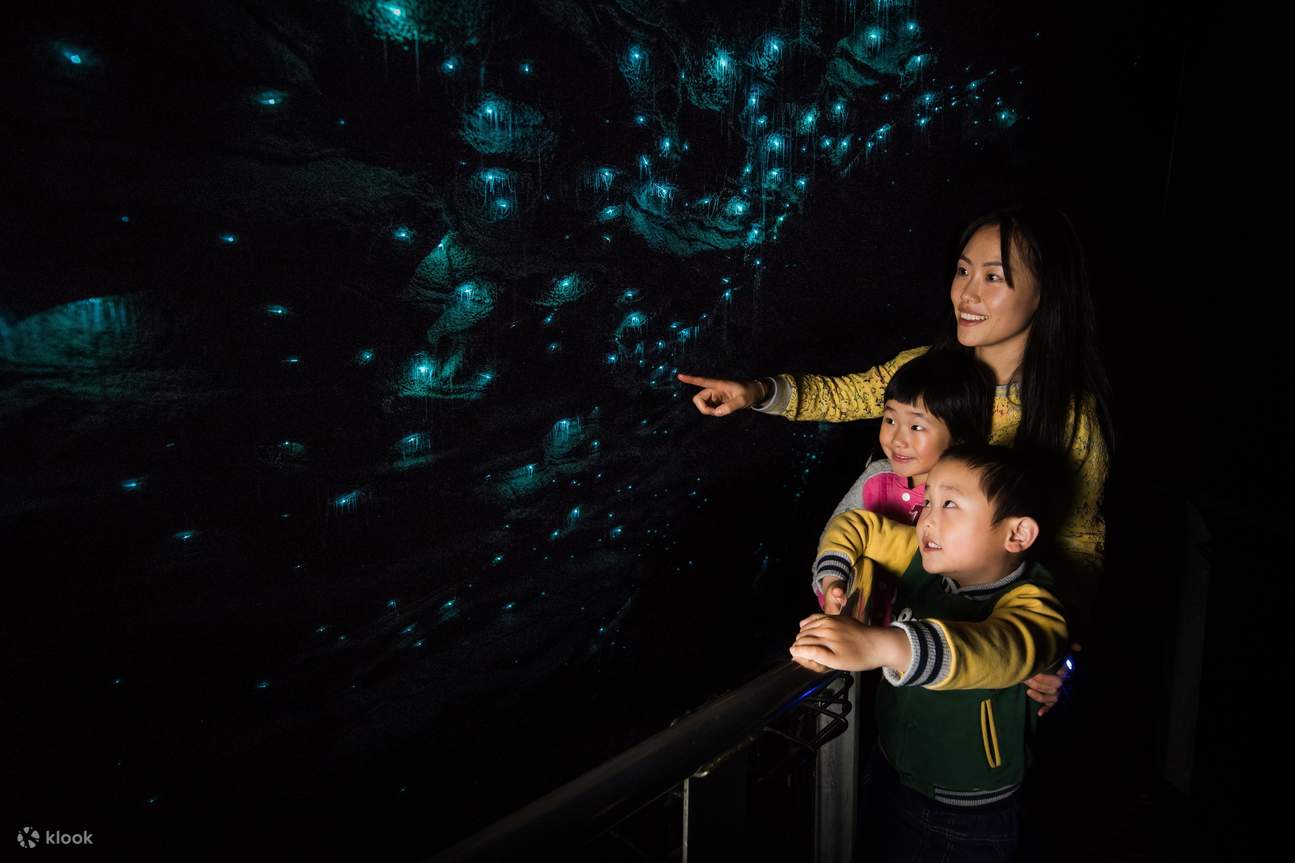 Waitomo Caves and Kiwi House Small Group Tour From Auckland - Klook ...