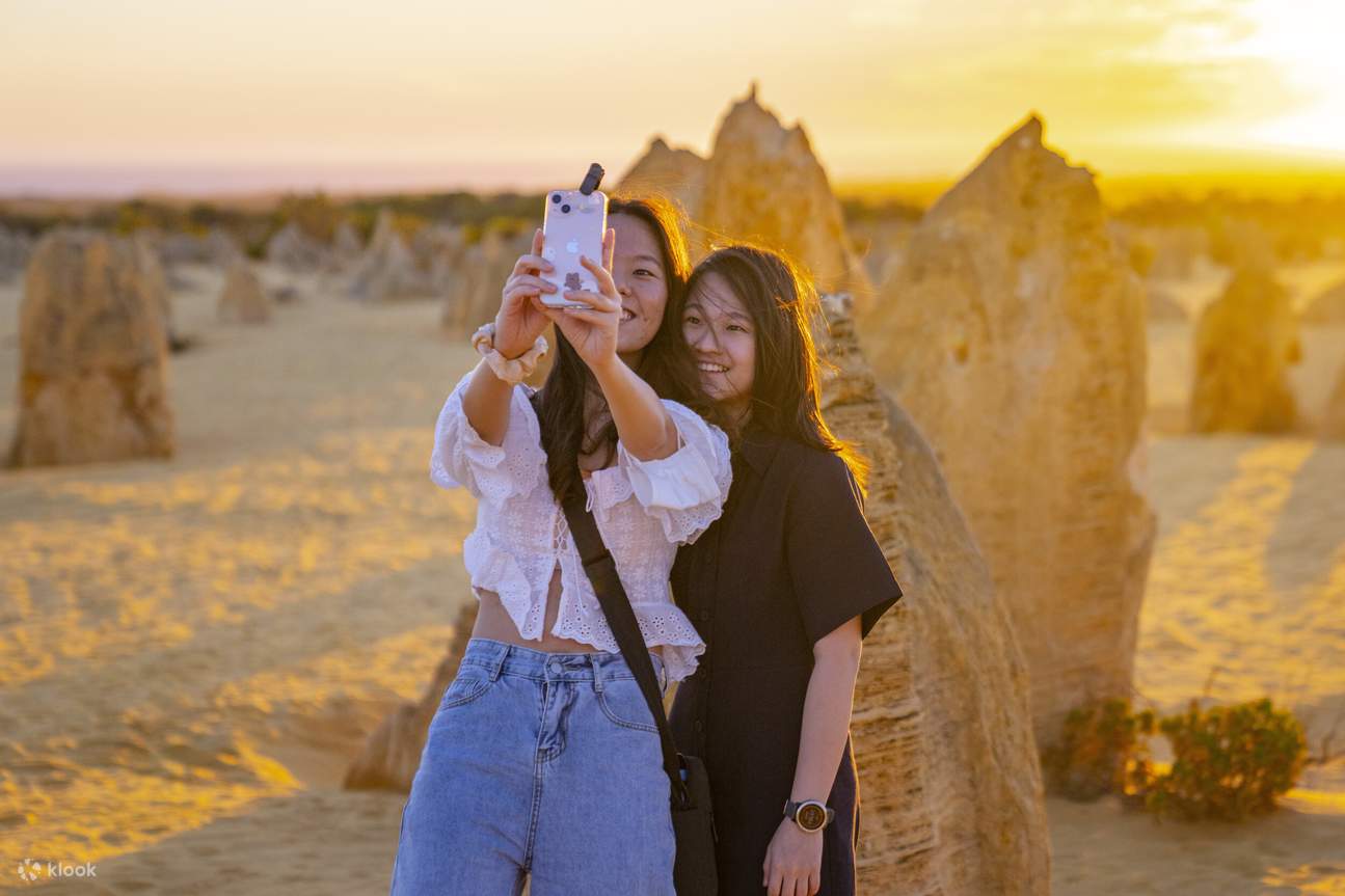 Pinnacles, Lancelin Sand Dunes & Wildlife Day Tour (Japanese Guide ...