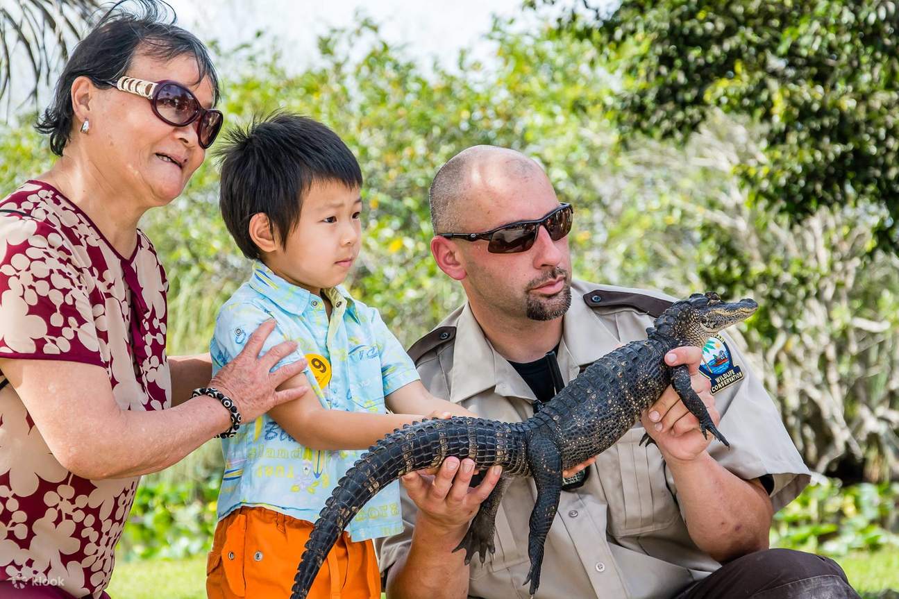 Everglades Safari Park & Airboat Ride Admission - Klook