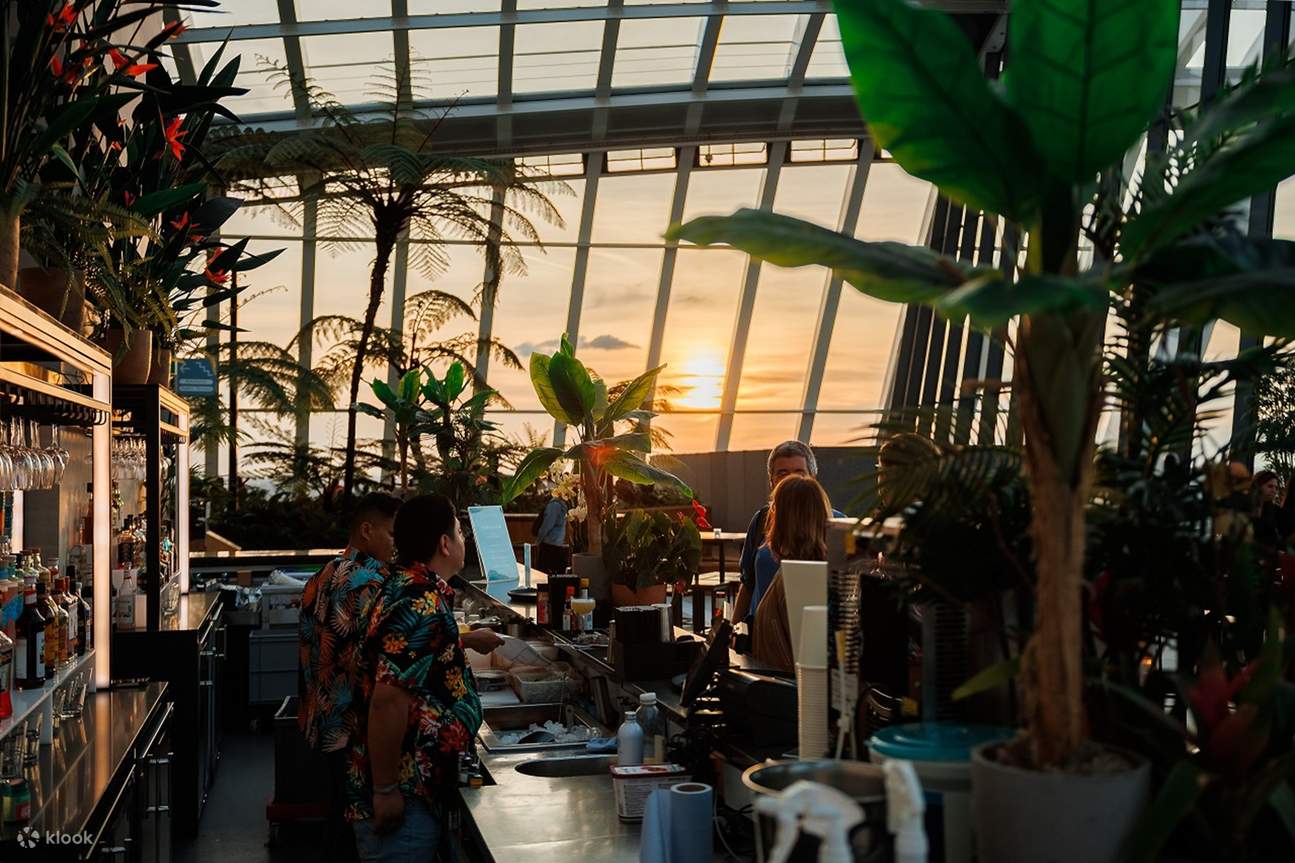 London: Sky Garden Music Night Ticket & Glass of Champagne - Klook Hong ...