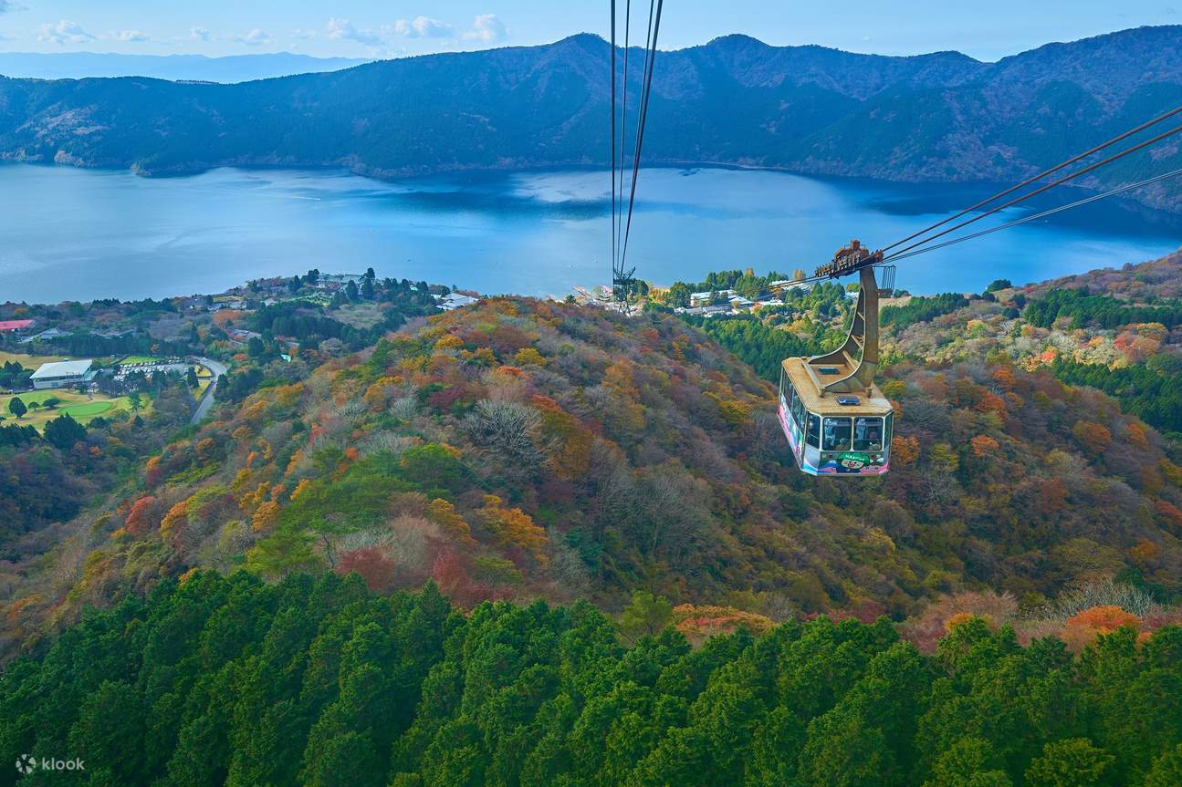 Mishima Sky Bridge Hydrangea Festival, Hakone Hydrangea Tram ...