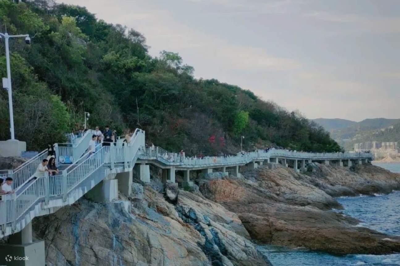 Shenzhen 1-day tour (round trip from Shenzhen + Shenzhen's longest ...