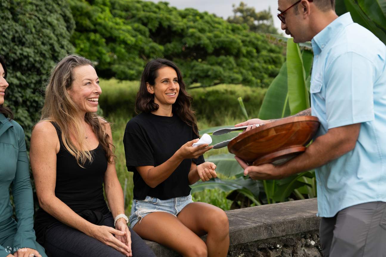 Excursión de lujo de un día a los volcanes de la Isla Grande y cena ...