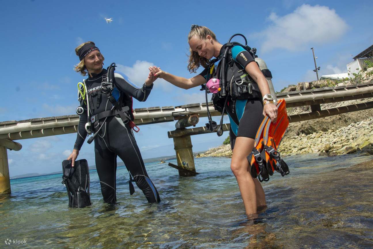 PADI Discover Scuba Diving in Bonaire with PADI Resort - Klook United ...