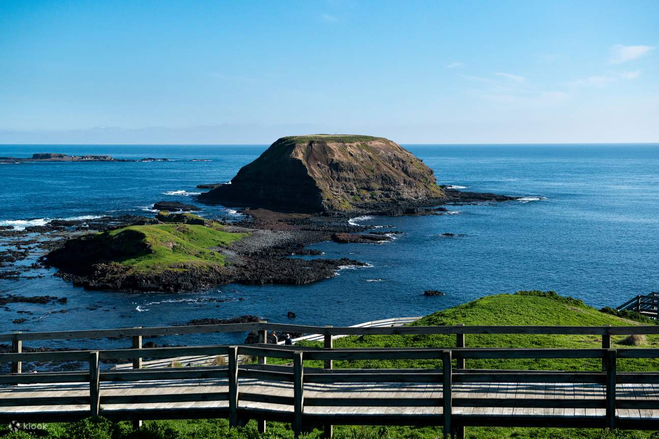 Pinguinparade, Maru Koala Animal Park & Brighton Bathing Boxes - Klook, Vereinigte Staaten