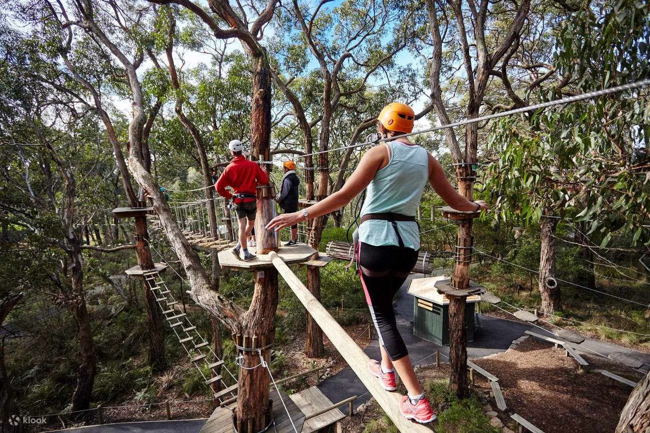 Moonlit Sanctuary and Enchanted Adventure Gardens Tour - Klook