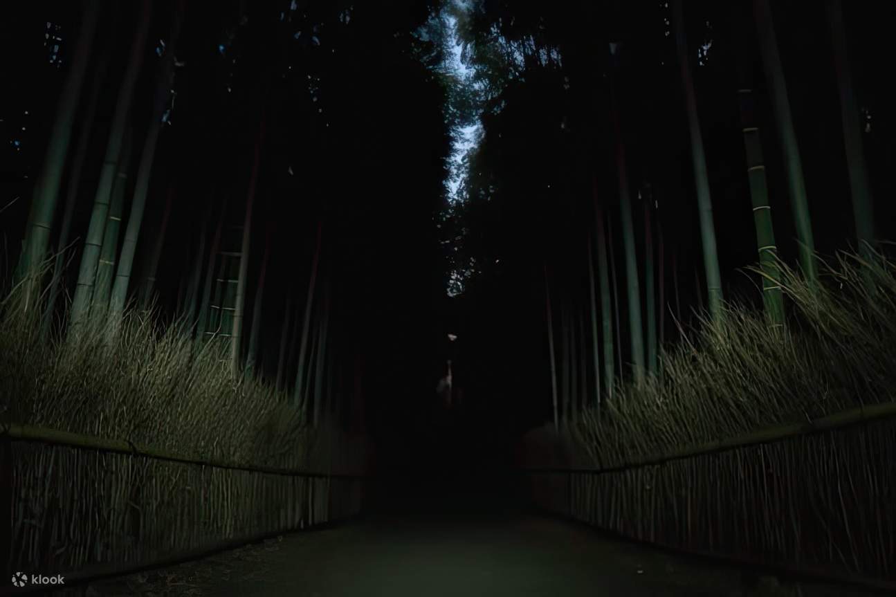 Kyoto City, Arashiyama Ghost Hunting Night Tour - Klook United States