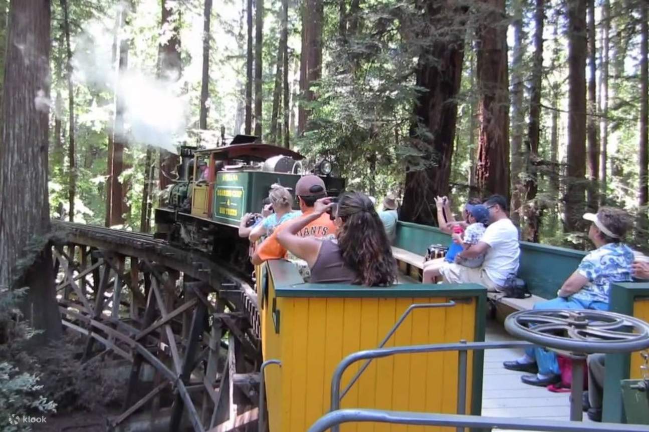 Redwood Forest Steam Train and Santa Cruz Harbor Day Tour - Klook